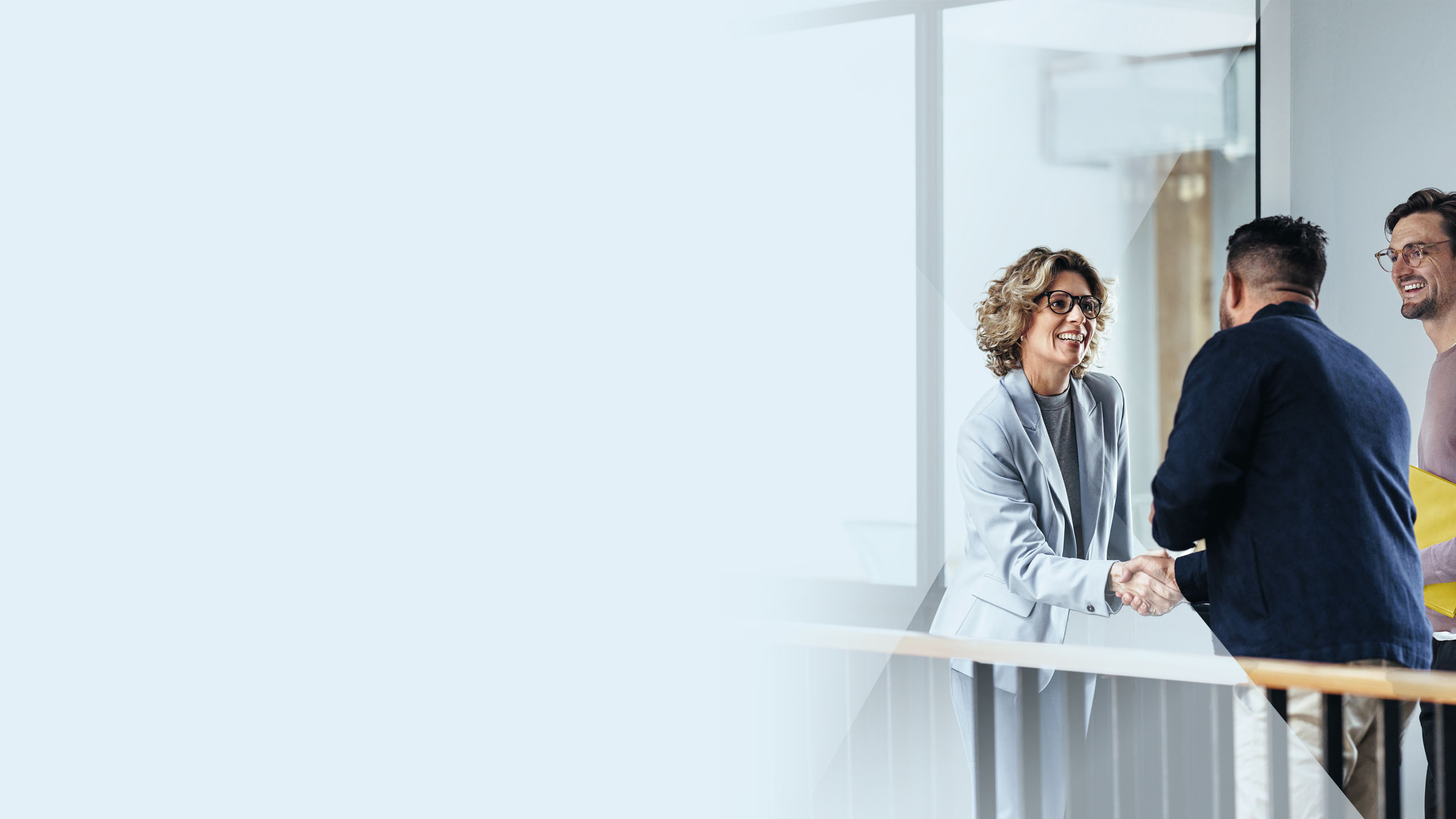 The Successful CEO - Mercuri Urval